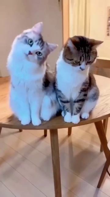 мурашки от Наташки)