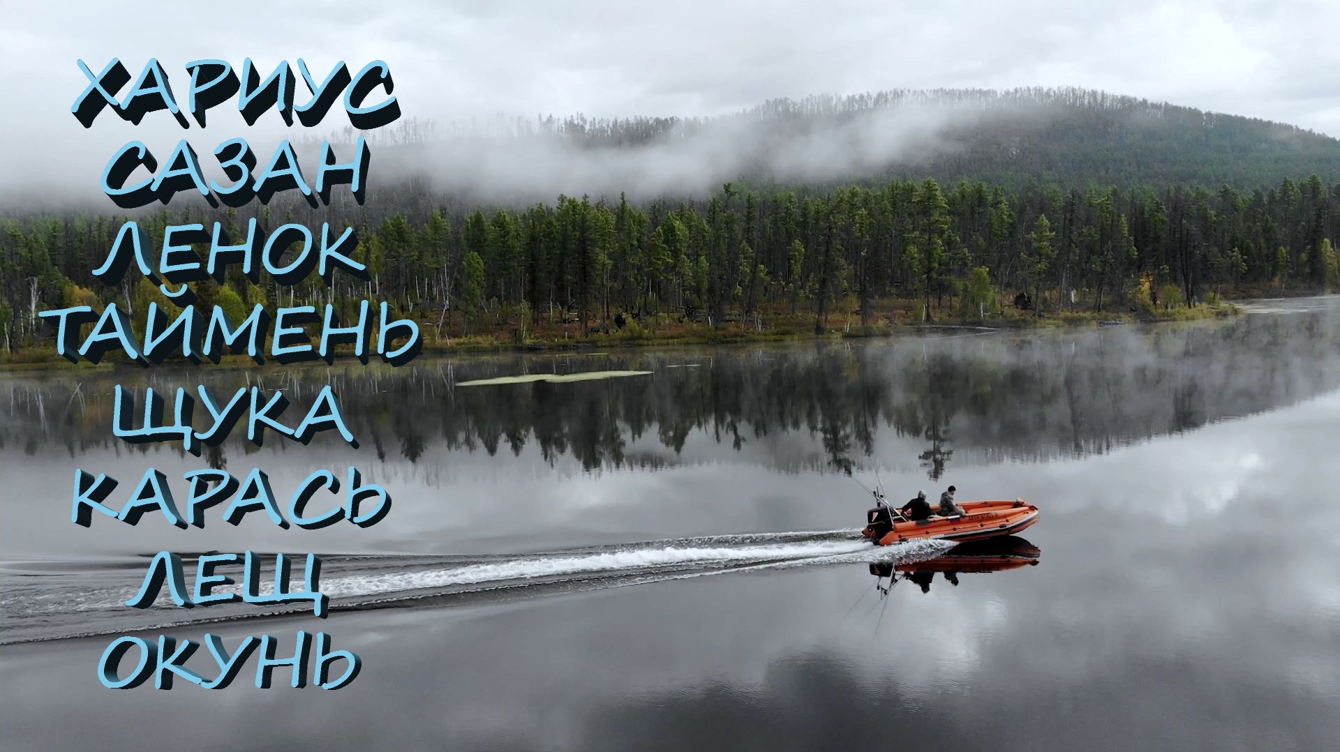 ЛЕТНИЙ РЫБОЛОВНЫЙ МИКС 2025 | Таёжные реки, озёра, водохранилище