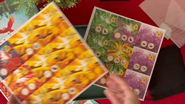 Настольная игра "Rainforest" Рэйнфорест (тропический лес) распаковка