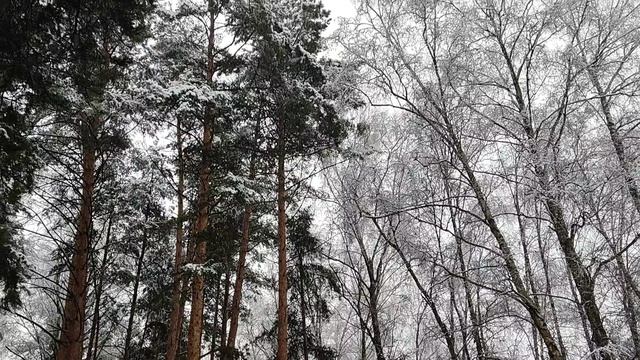 Доброе утро, сказка! 15.11.2025