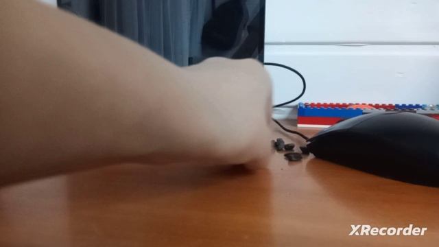 глупые котята #14