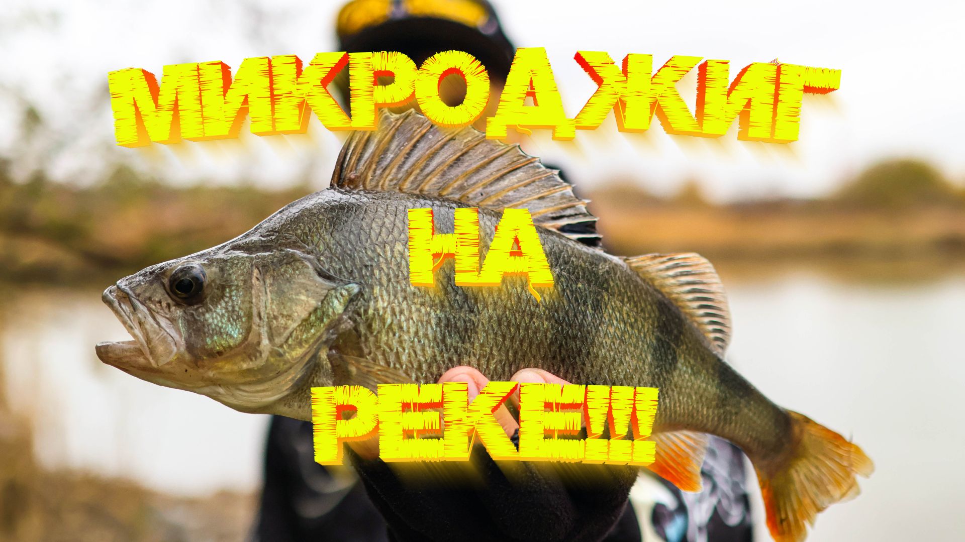 МИКРОДЖИГ на реке! Попал на стаю ОКУНЯ 💪 Ловился на КАЖДОМ забросе 👍