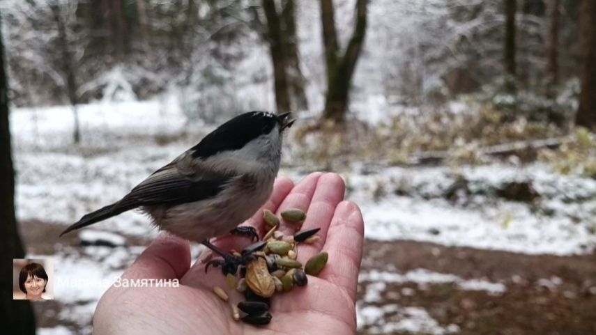 Экотерапия 57 серия.