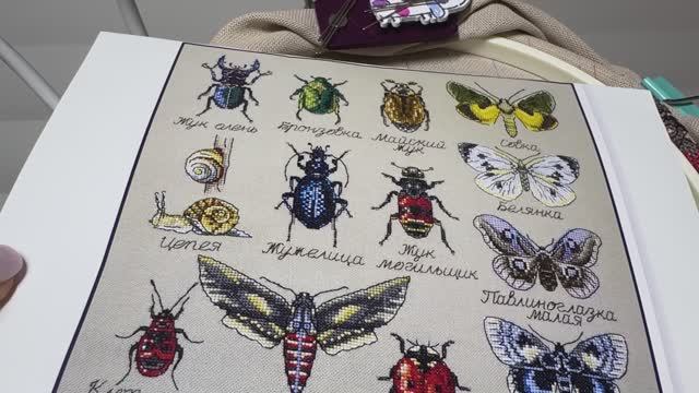 Вышивка крестиком.Продвижения.Оформление.