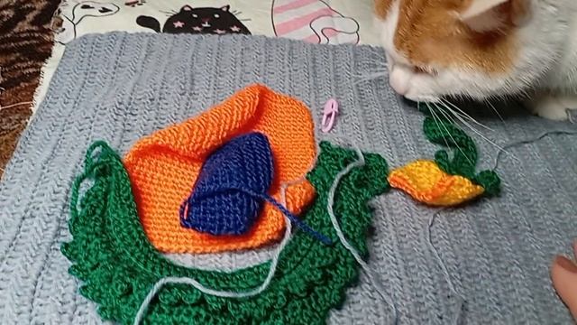 СП "Пледомания 3"_третья неделя_16.11.2025г.