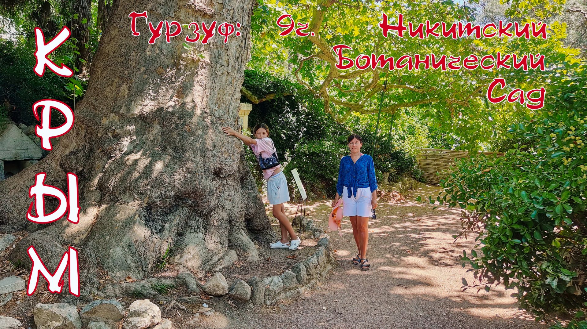 КРЫМ. Гурзуф: 9ч. Никитский Ботанический Сад