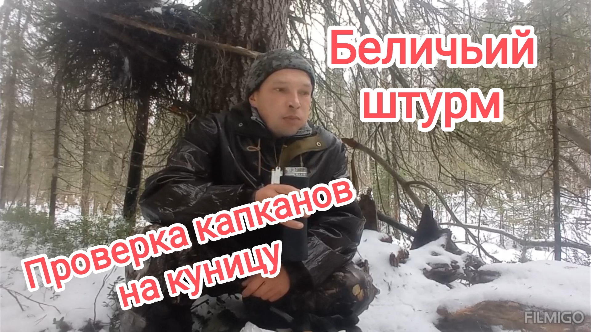 Проверка капканов на куницу. Нашествие белок.