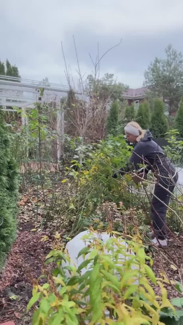 Домик для роз.