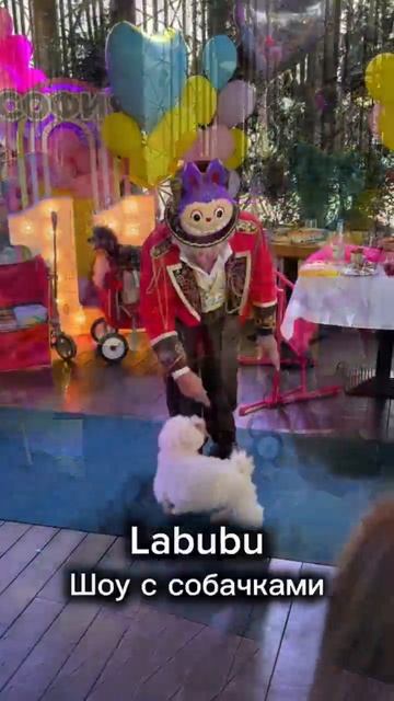 LABUBU шоу с собачками