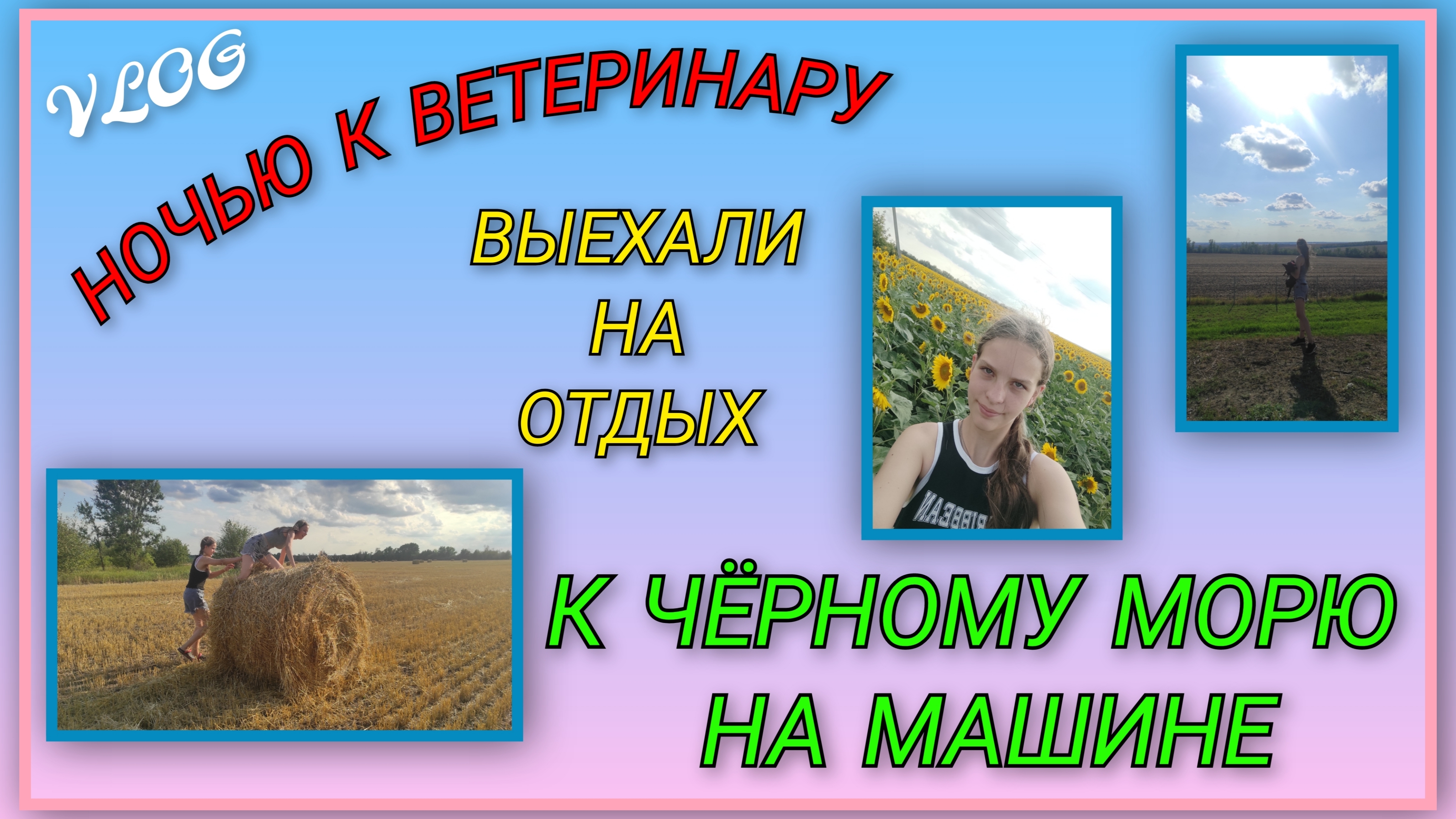 🌞 VLOG: Ночной поход к ветеринару/ Выехали на отдых/ Дорога к Чёрному морю