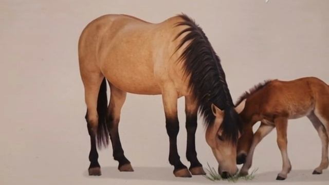 лошадь и жеребенок ( мама и малыш )❤