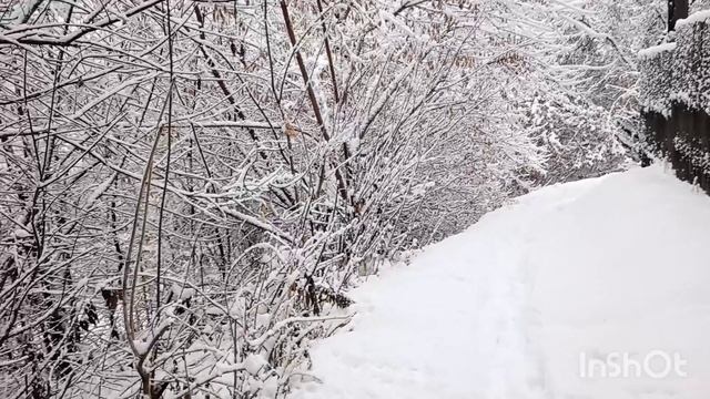 Вернись сейчас