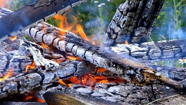 Сказка "Про Юру сантехника и общественную баню"