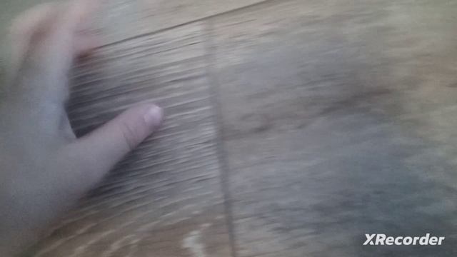 умный котёнок # 15