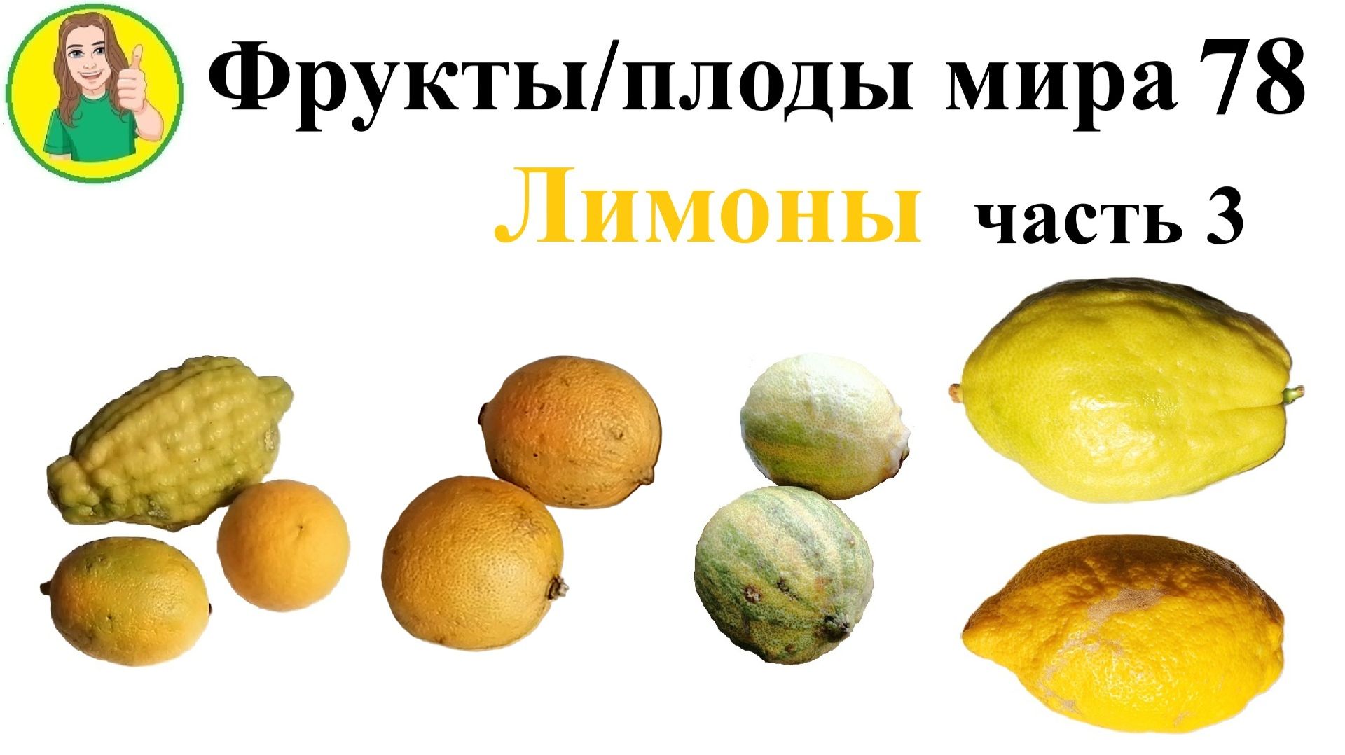 Фрукты – плоды мира 78 – Лимоны часть 3 Сыроедение Фрукторианство