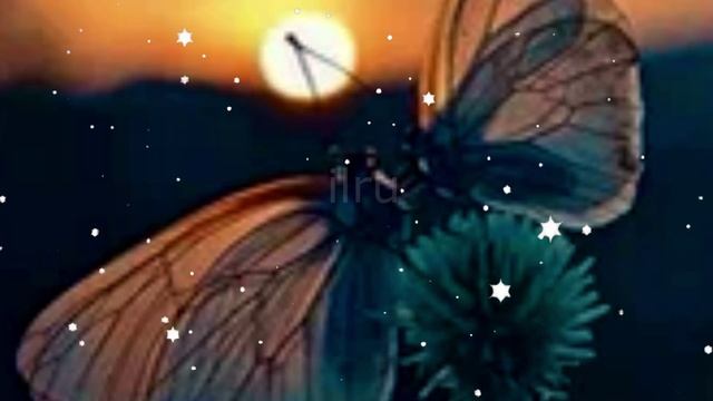 открытки добрый вечер бесплатные красивые с пожеланиями - очень красивые пожелания с добрым вечером