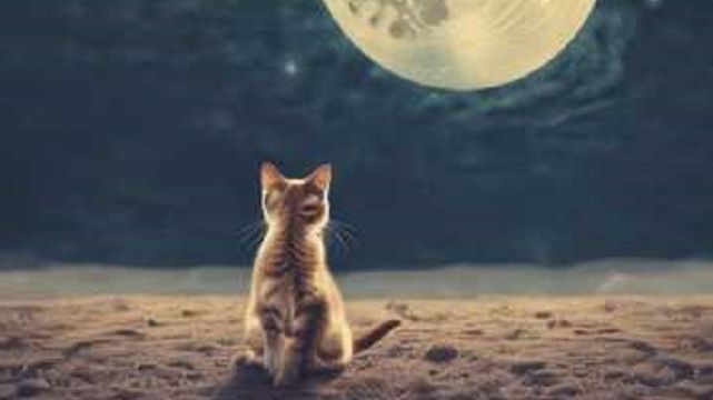 Когда засыпает полмира