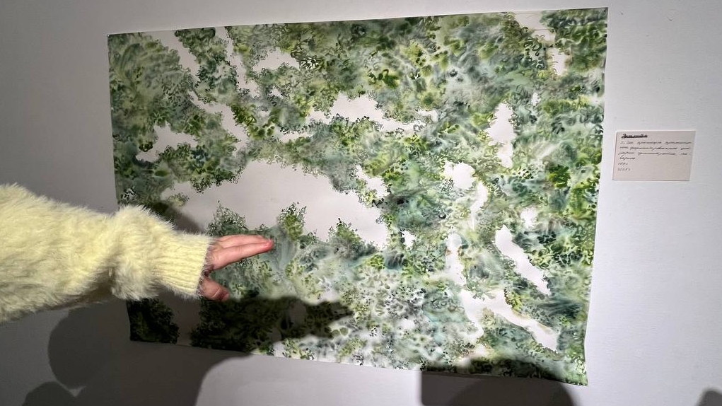 исчезающий мир