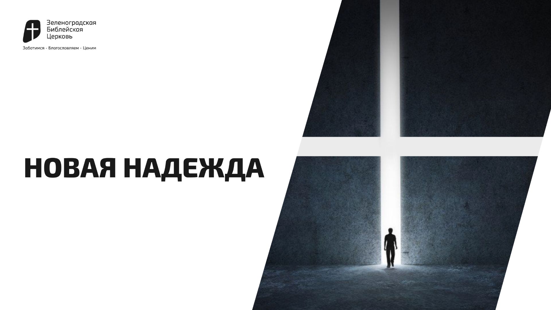 Новая надежда | Андрей Бережной