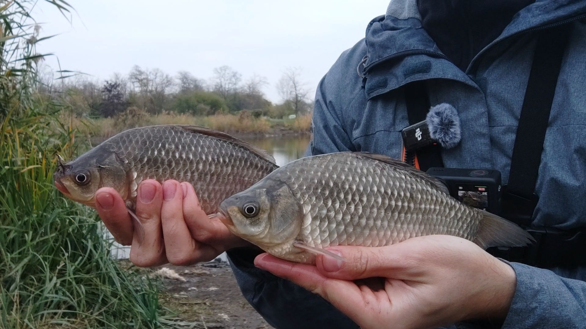 Тут есть КАРАСИ даже в ноябре!! Рыбалка на ФИДЕР в Краснодарском крае!