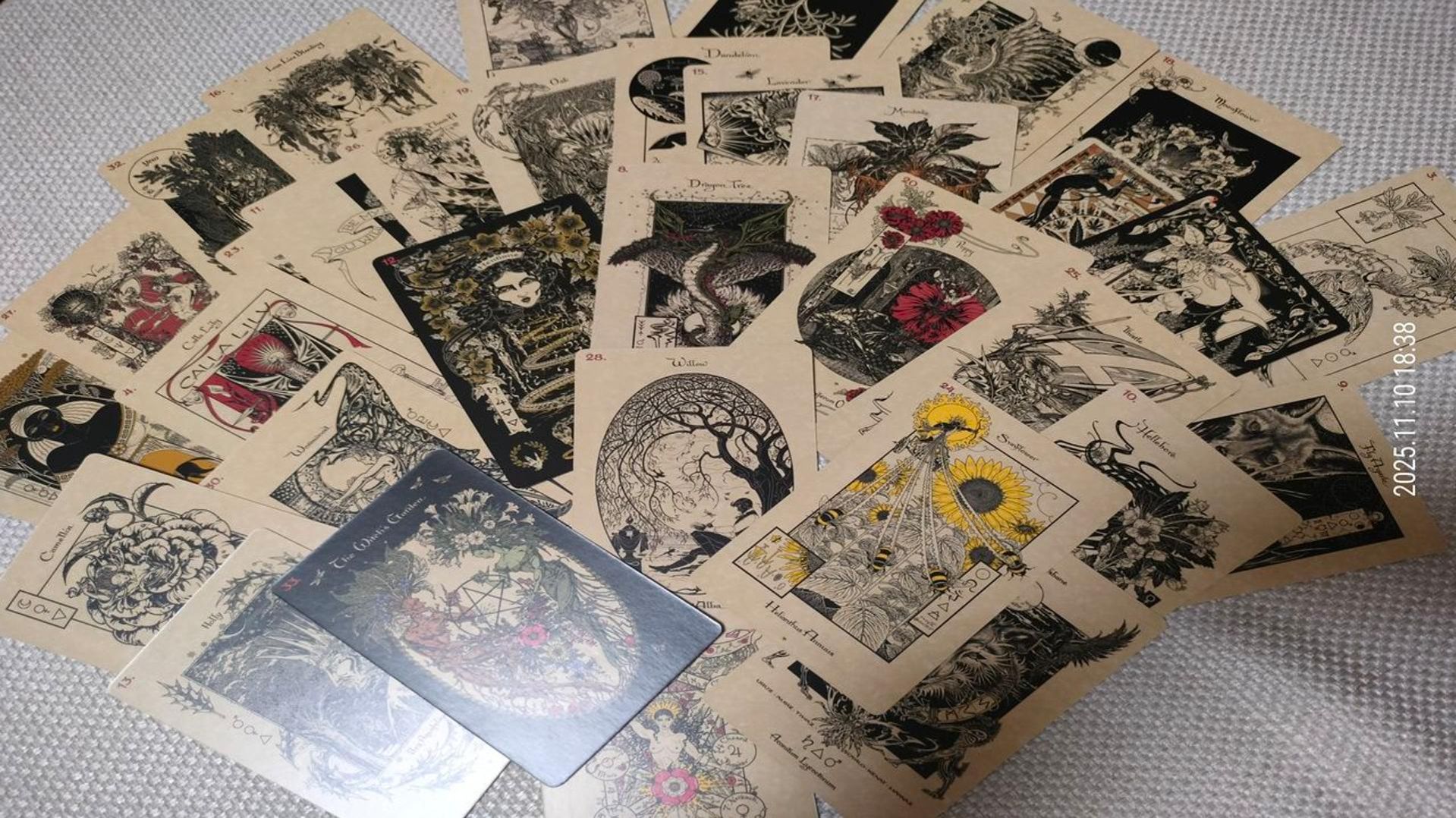 Волшебный ботанический оракул- обзор и расклад