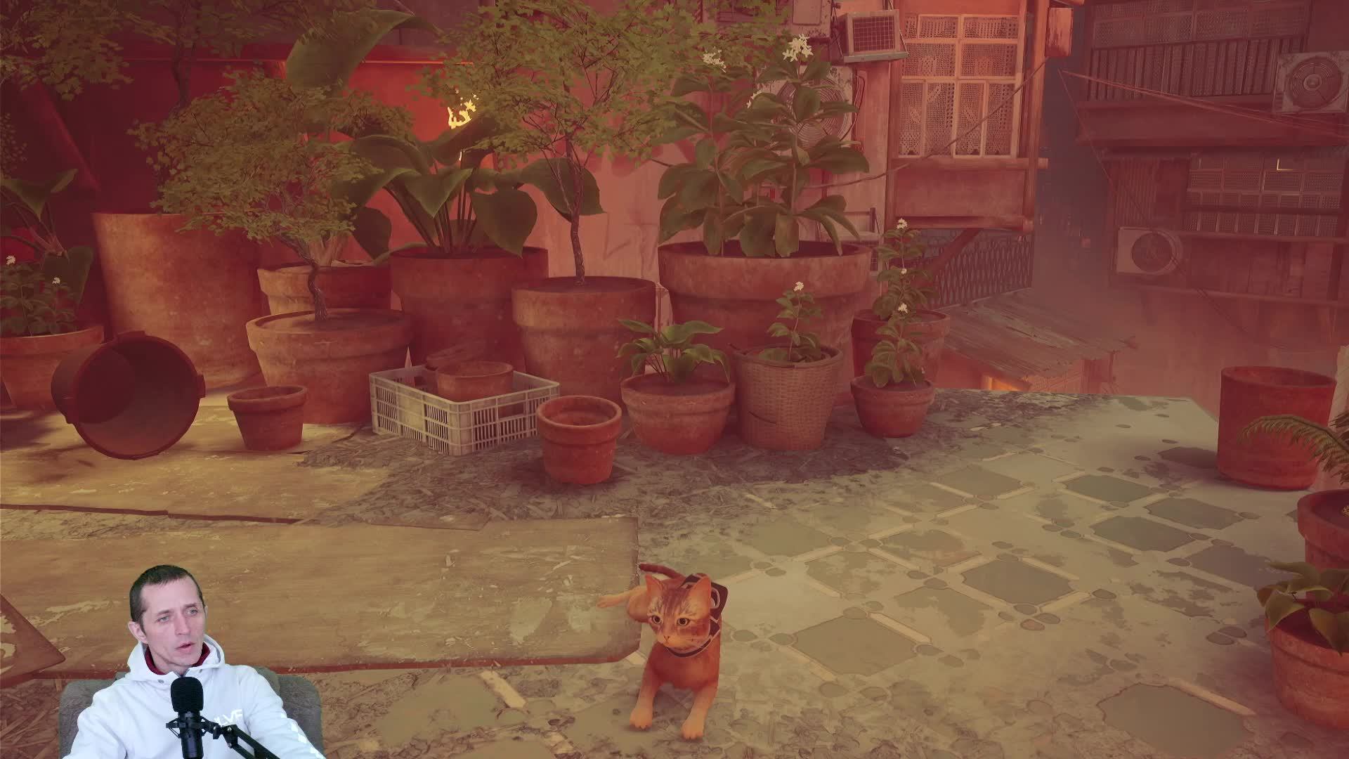 PS5.Stray.Бездомный