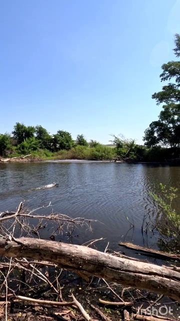 Взлёт утки 🦆