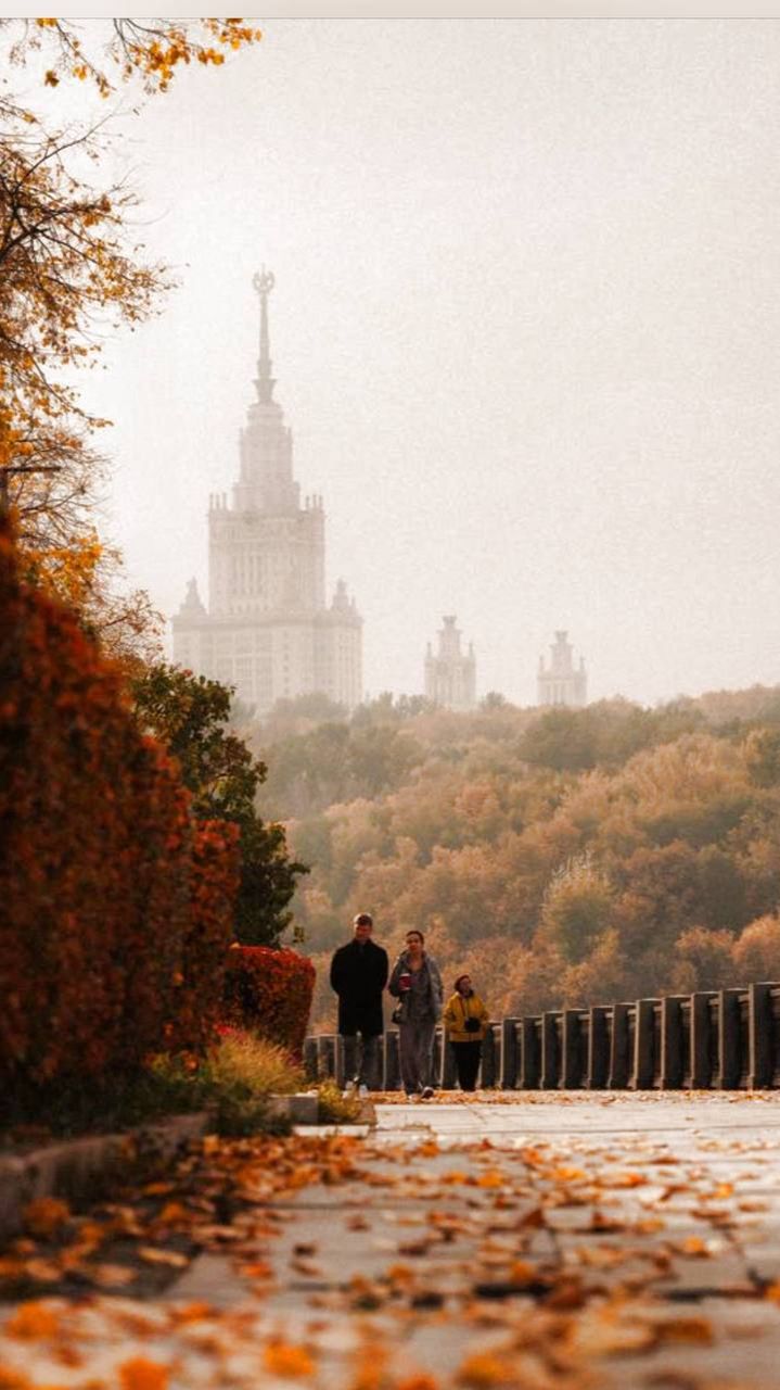 Как манипуляторы определяют своих жертв |  СОЦИАЛЬНЫЕ МАНИПУЛЯЦИИ-4