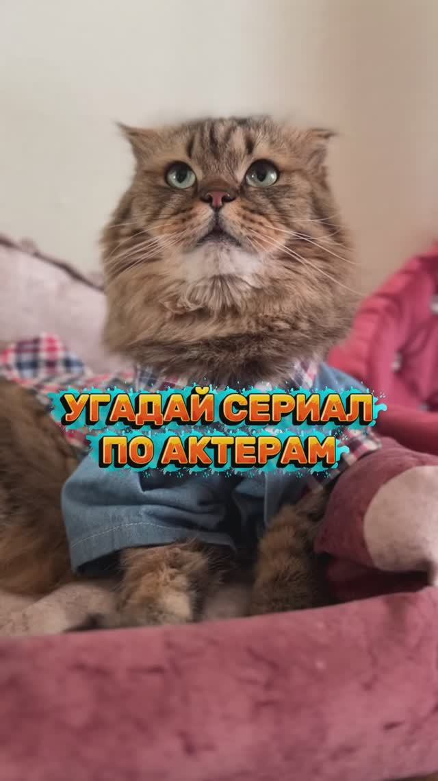 Интересное в описании😸