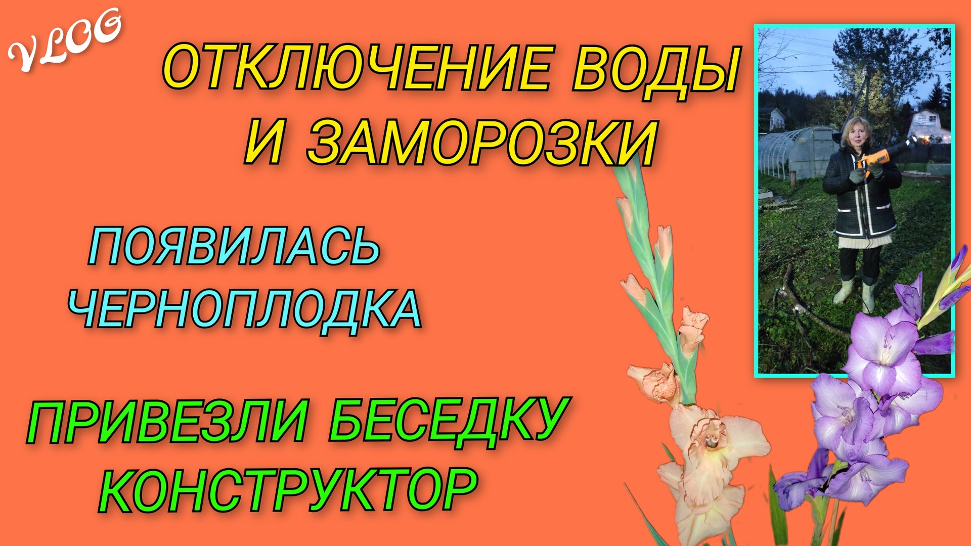 🍒 Сучкорез и пила- веток нет/ Внеплановое отключение воды и заморозки/ Привезли беседку конструктор