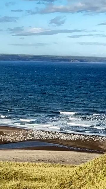 Где жили айны