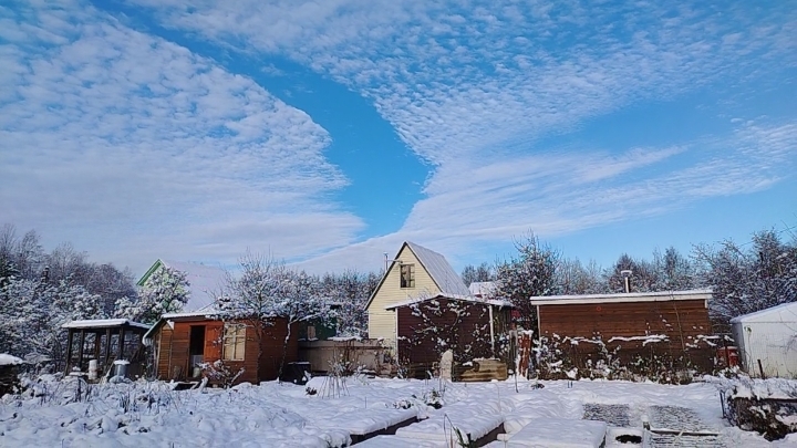 59/2025 ПОСЛЕДНИЙ ДАЧНЫЙ ВЛОГ: САЖАЮ ОЗИМЫЕ МОРКОВЬ И ЛУК