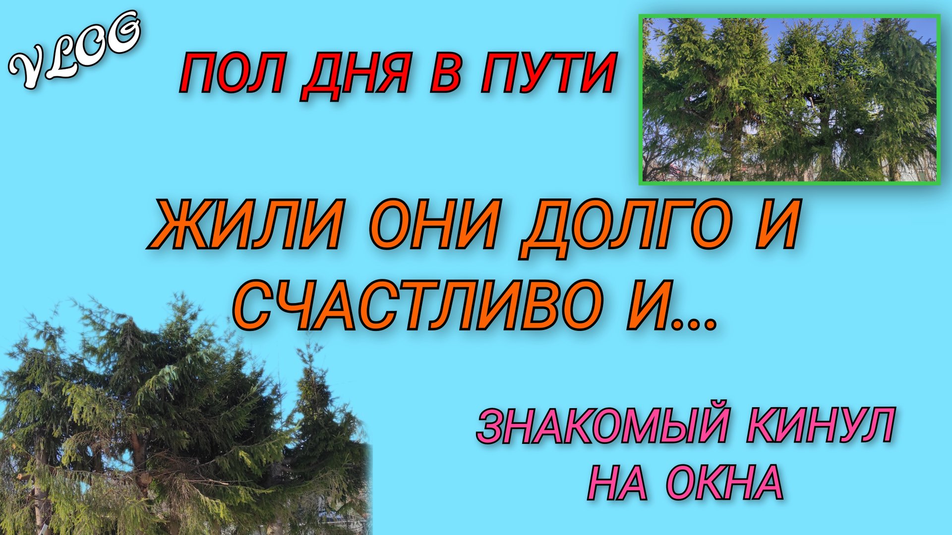 🍒Пол дня в пути/ Затопили участок/ Жили они долго и счастливо и.../ Рыба на мангале/ Кинули на окна