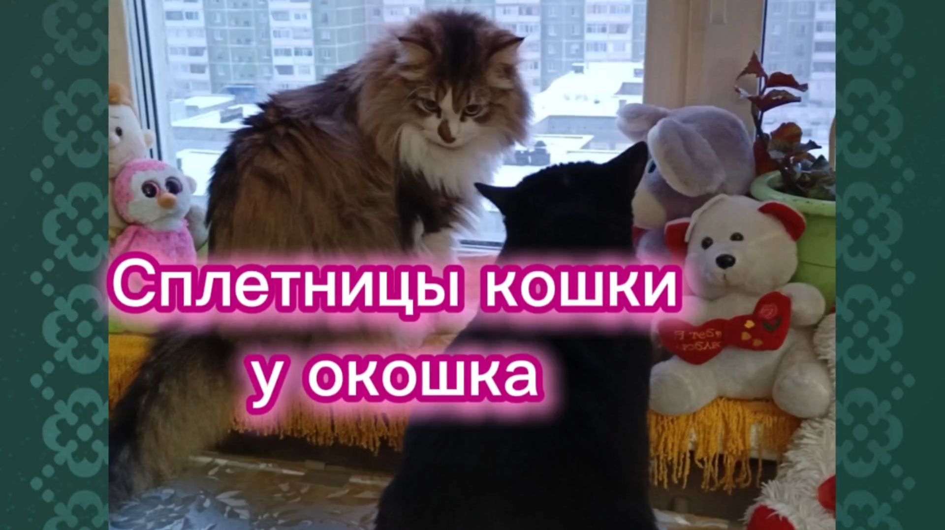 Кошки с озвучкой