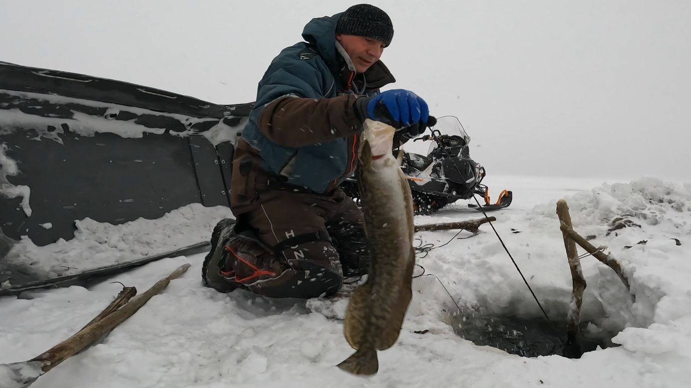 НАЛОВИЛ ЖИВЦА С ЗАПАСОМ | ПРОВЕРКА ПЕРЕМЕТА 15.11.2025