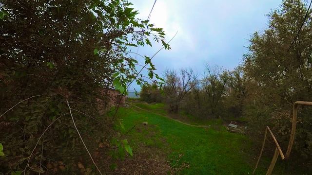 Небольшая роща за магазинами на трассе