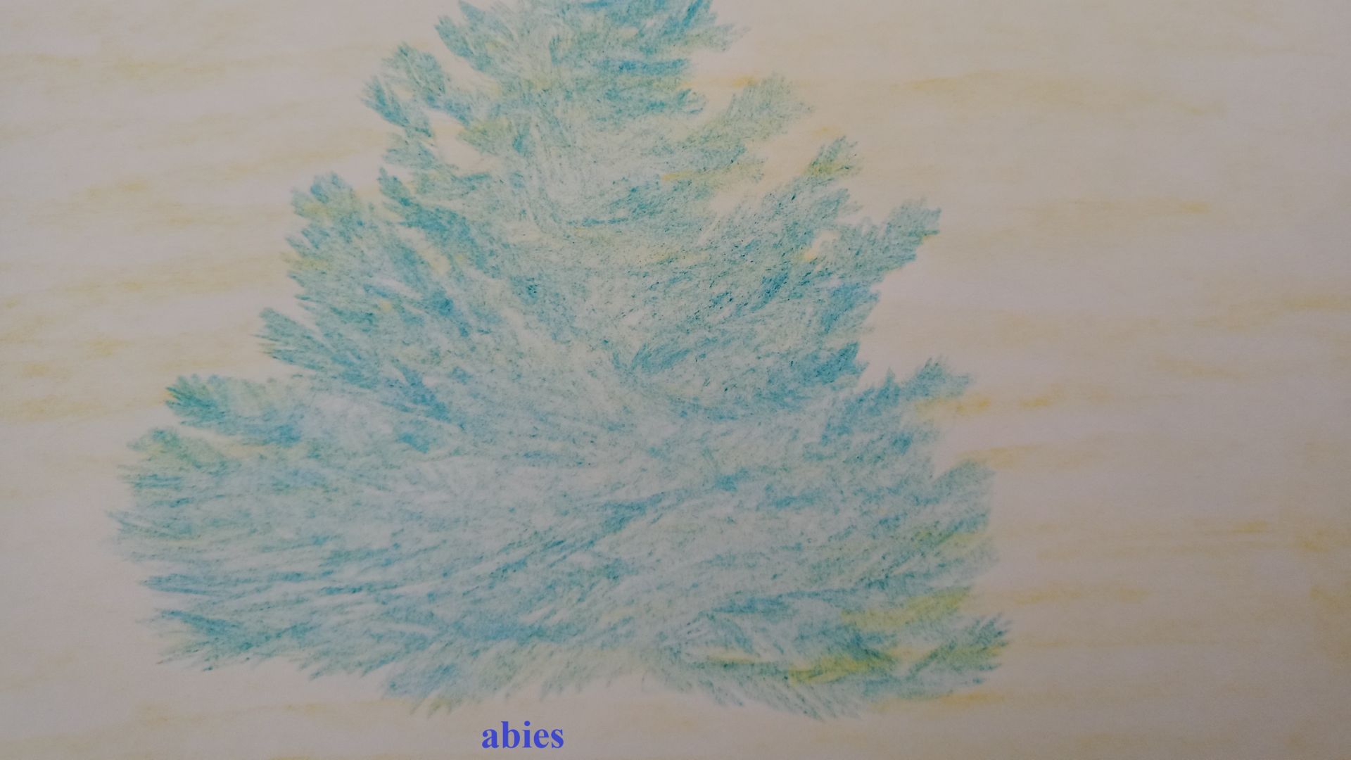 ЛАТИНСКИЙ ЯЗЫК. A