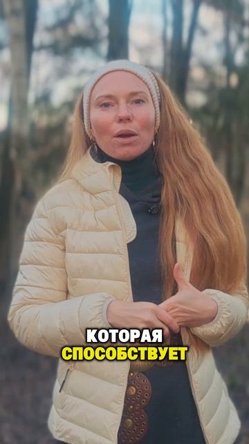 Астропогода 20 ноября 2025 | Ведический прогноз по Джйотиш