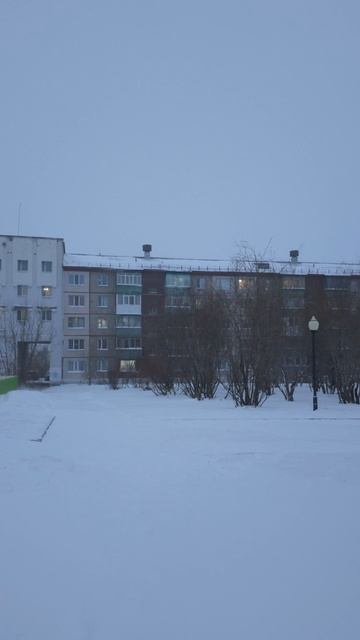 Прогресс в освоении аналоговых фоток и 650к просмотров