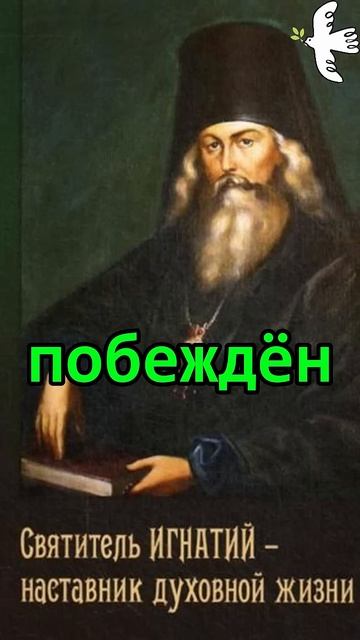 О борьбе с грехом. Св. Игнатий Брянчанинов #молитва #православныйцарь #старцы