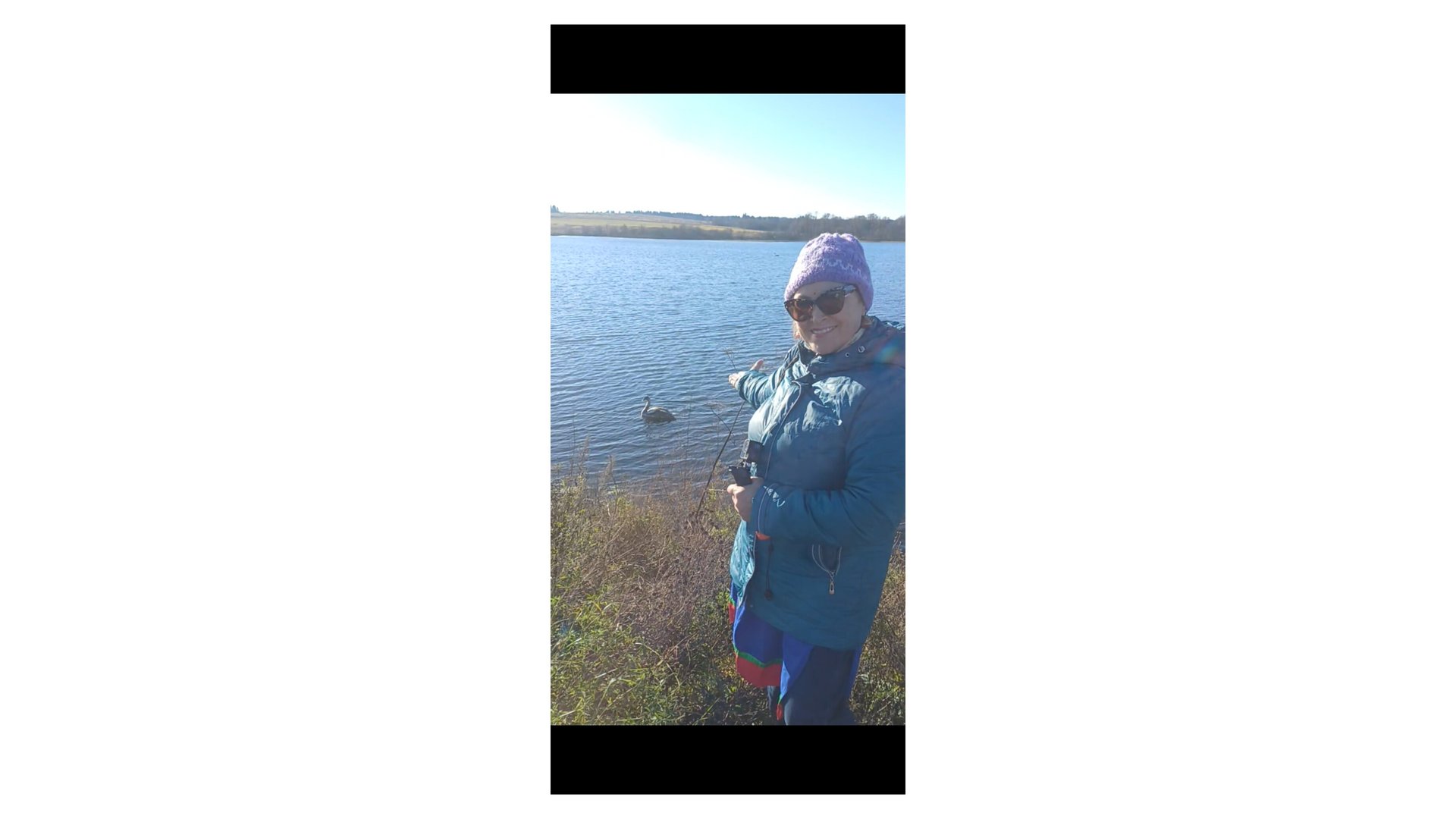 Лебеди  на красивом пруду 🦢🤩😍😁