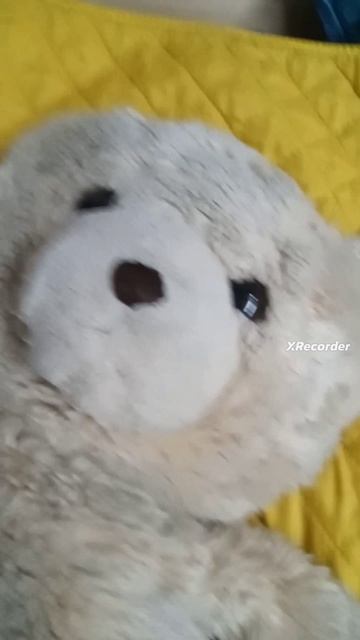 смешные котята 10