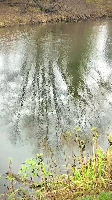 Рябь на воде