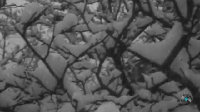 Автор песни «У тебя на ресницах» группы «Мой Двор» — Батурин Андрей Михайлович.