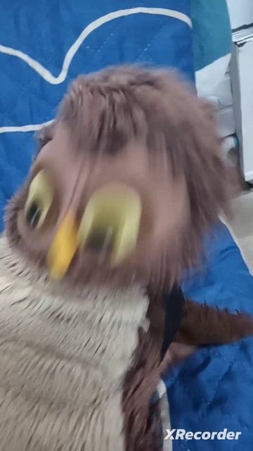 смешные котята 8