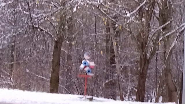 Первый снег в лесопарке, птицы прилетели к кормушкам, гололёд на дорогах парка