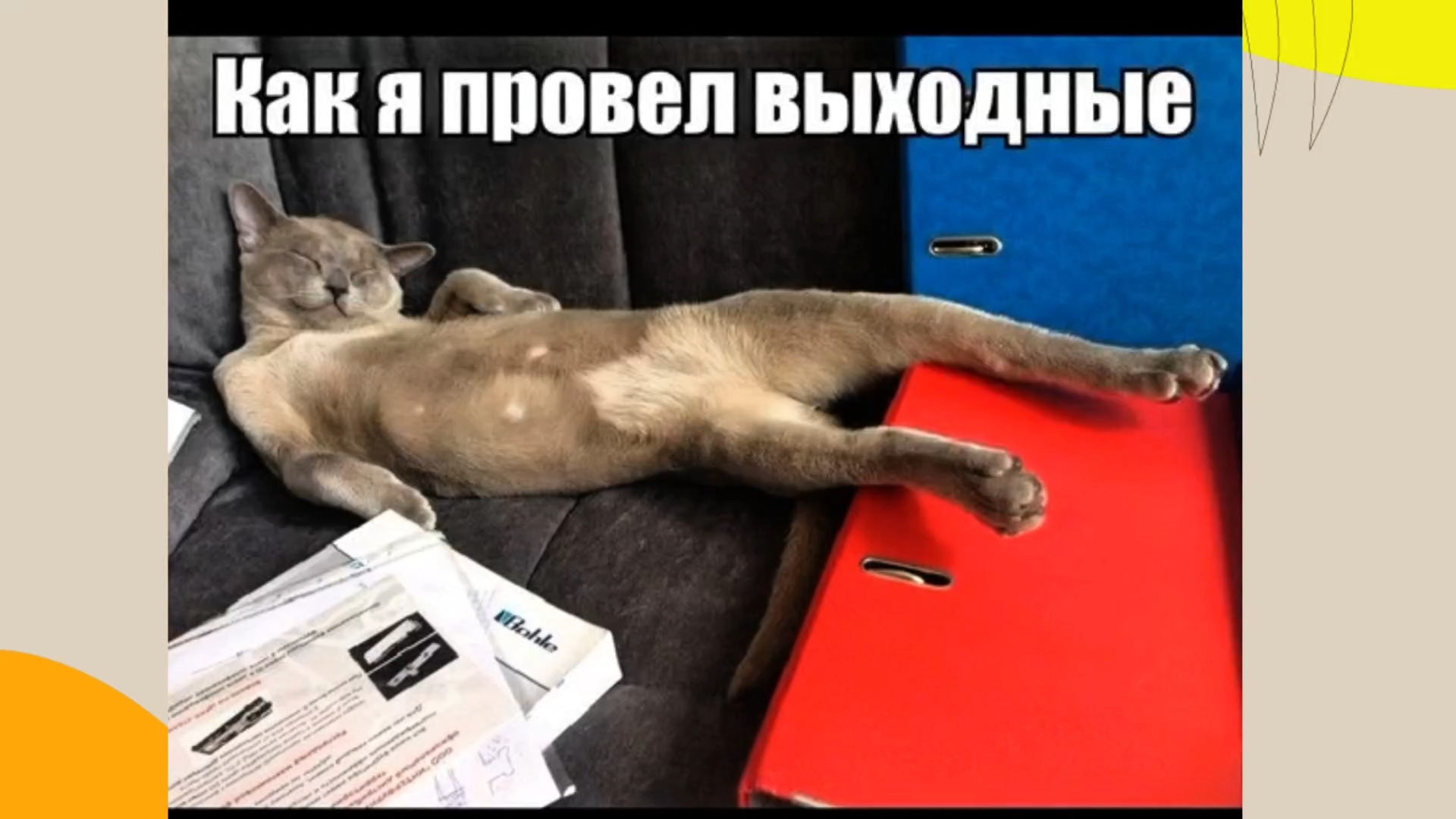 СМЕХ ДО СЛЁЗ.