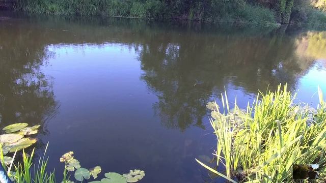 Рыбалка на р.Оскол. 22.08.2025г.