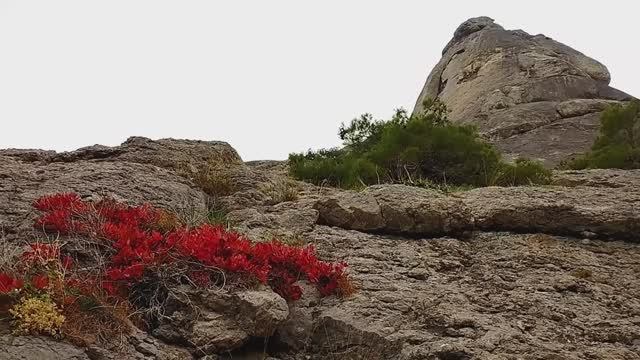 Прогулка до грота Голицына. Новый Свет.