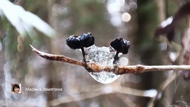 Экотерапия 58 серия.